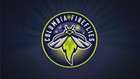 The Columbia Fireflies win Carolina League South first half title ...