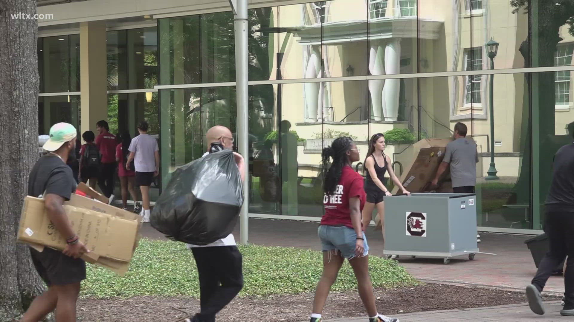 University of South Carolina move-in brings energy to Columbia | wltx.com
