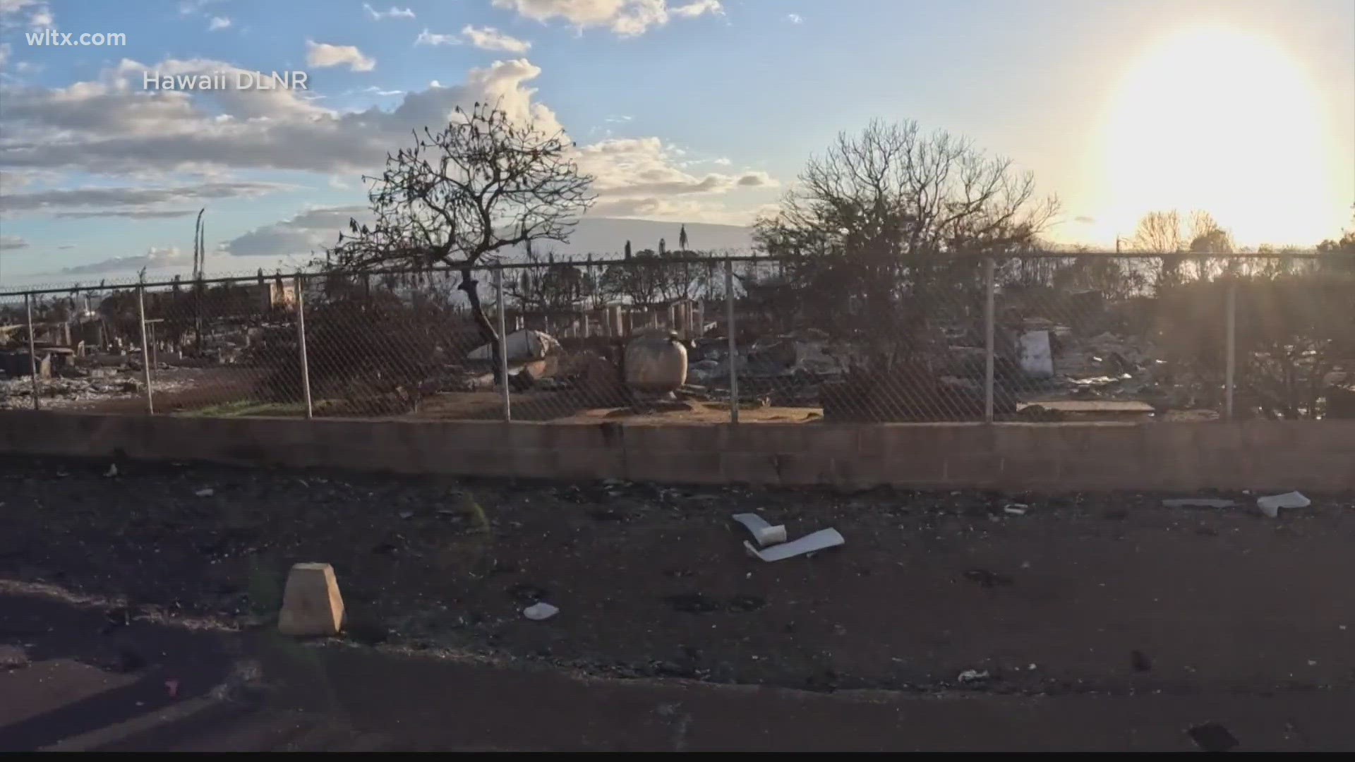 Maui fires: Utility company under scrutiny amid search for cause | wltx.com
