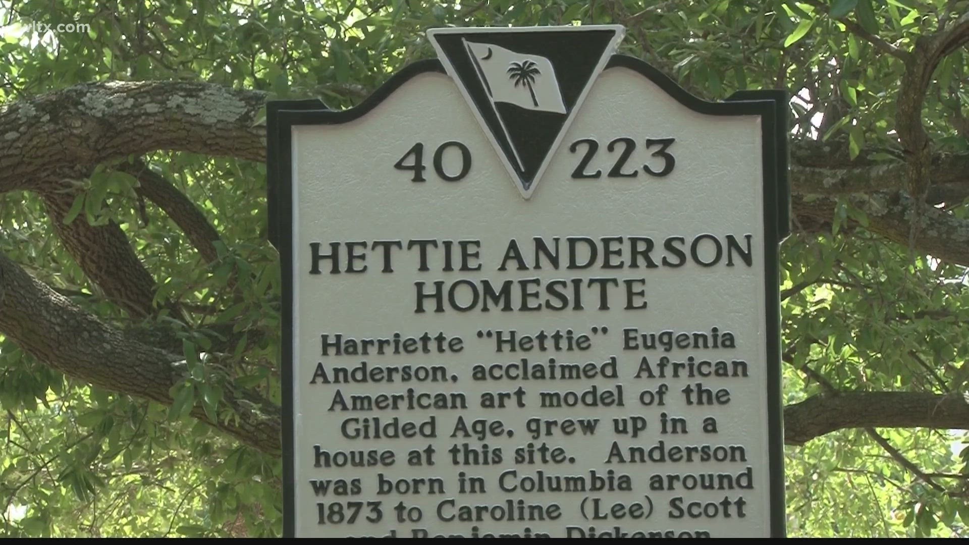 Columbia marker unveiled for Hettie Anderson | wltx.com