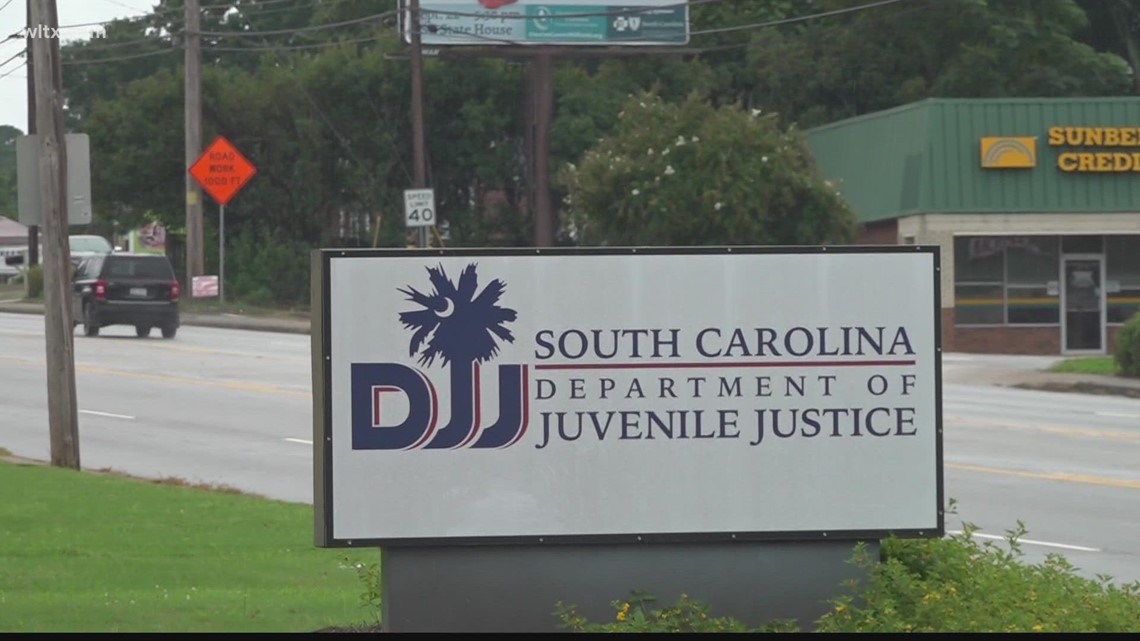 Employees Jessica Norton, Ayotunde Roane arrested by SC DJJ | wltx.com