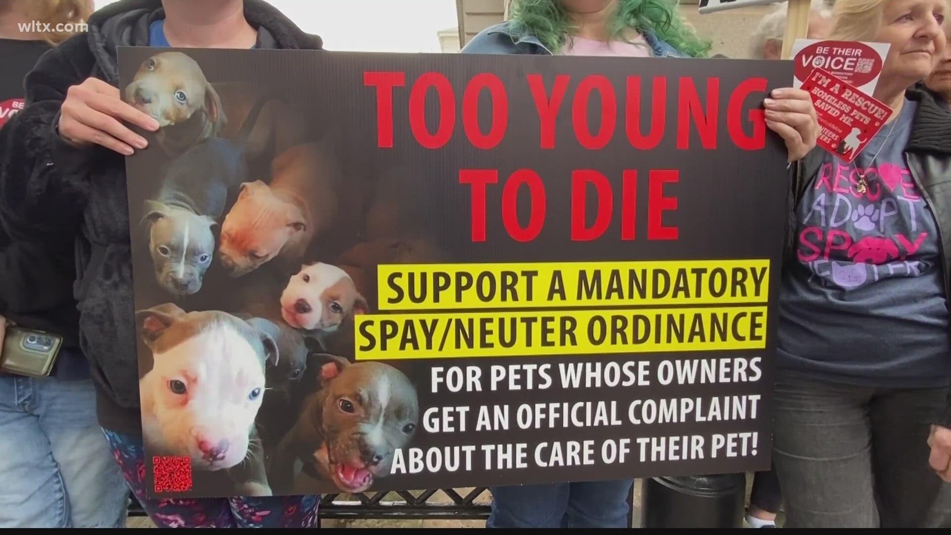A push for spay and neuter changes in Columbia | wltx.com