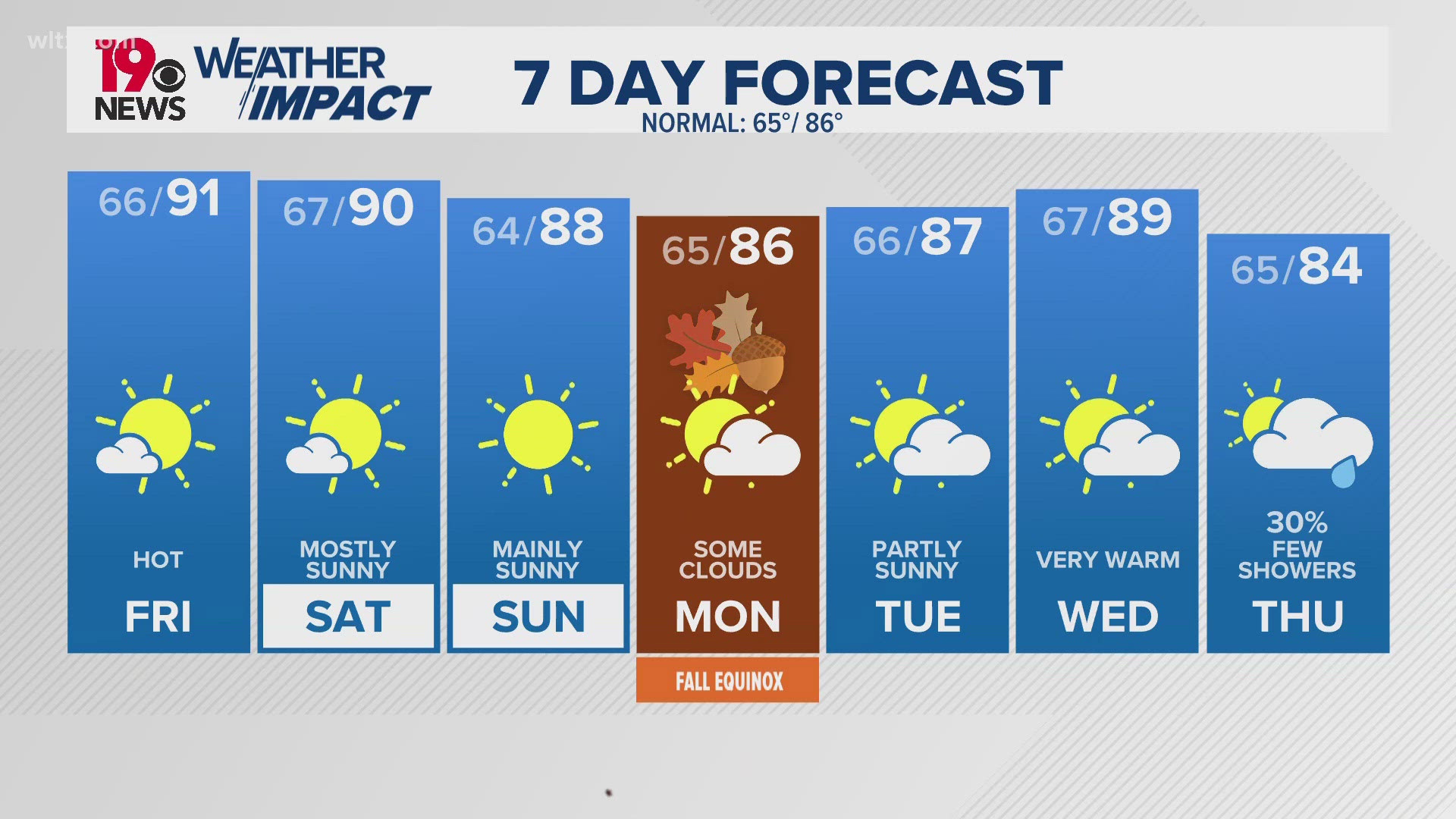 Woman arrested in Columbia hit-and-run death of 71-year-old man. | wltx.com