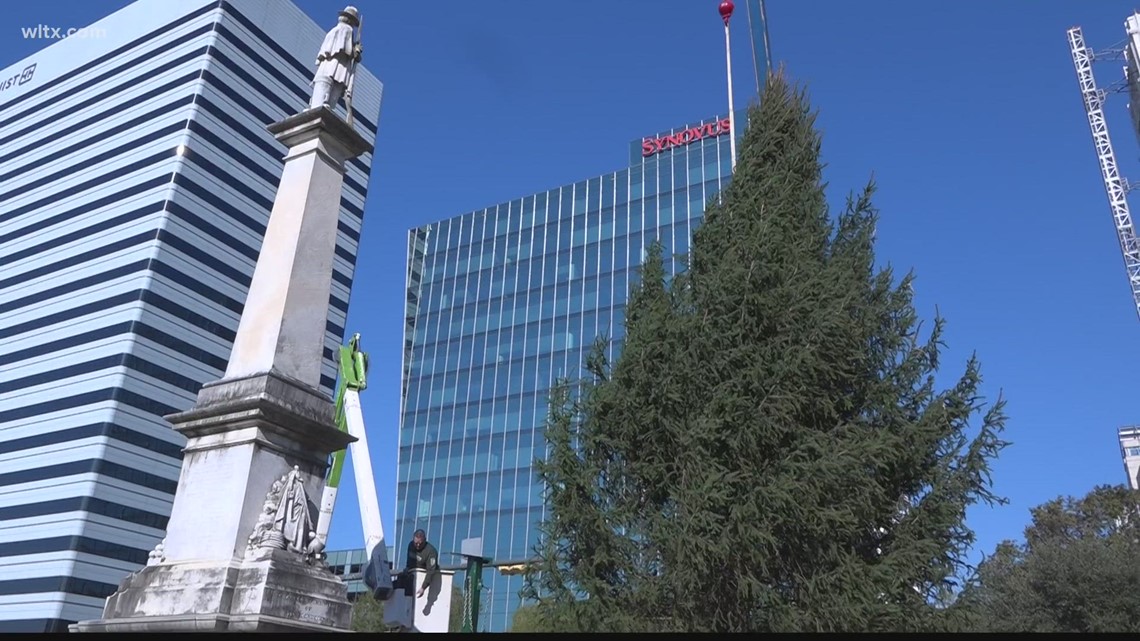State House Christmas tree arrives | wltx.com