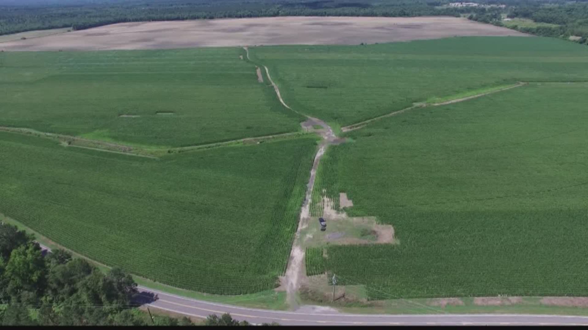 Taking South Carolina Farming to New Heights | wltx.com