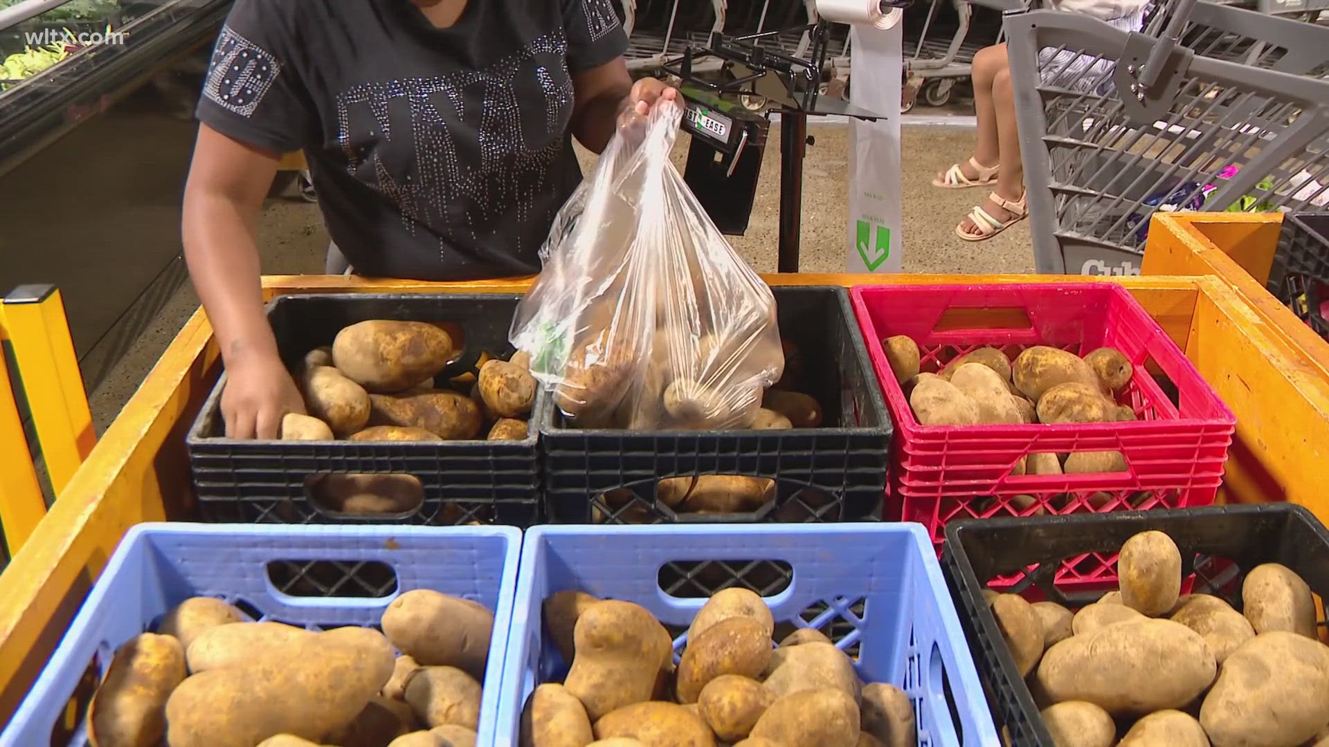 Will South Carolina SNAP benefits be affected by the federal shutdown ...