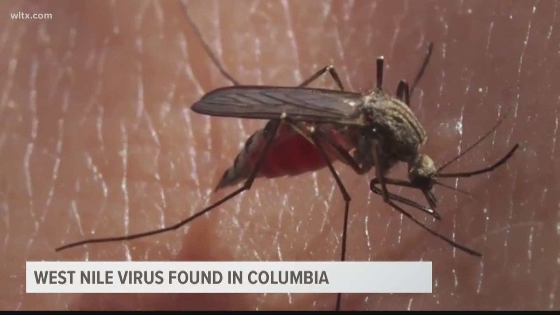 Columbia to Spray to Kill Potential West Nile-Infected Mosquitoes on ...