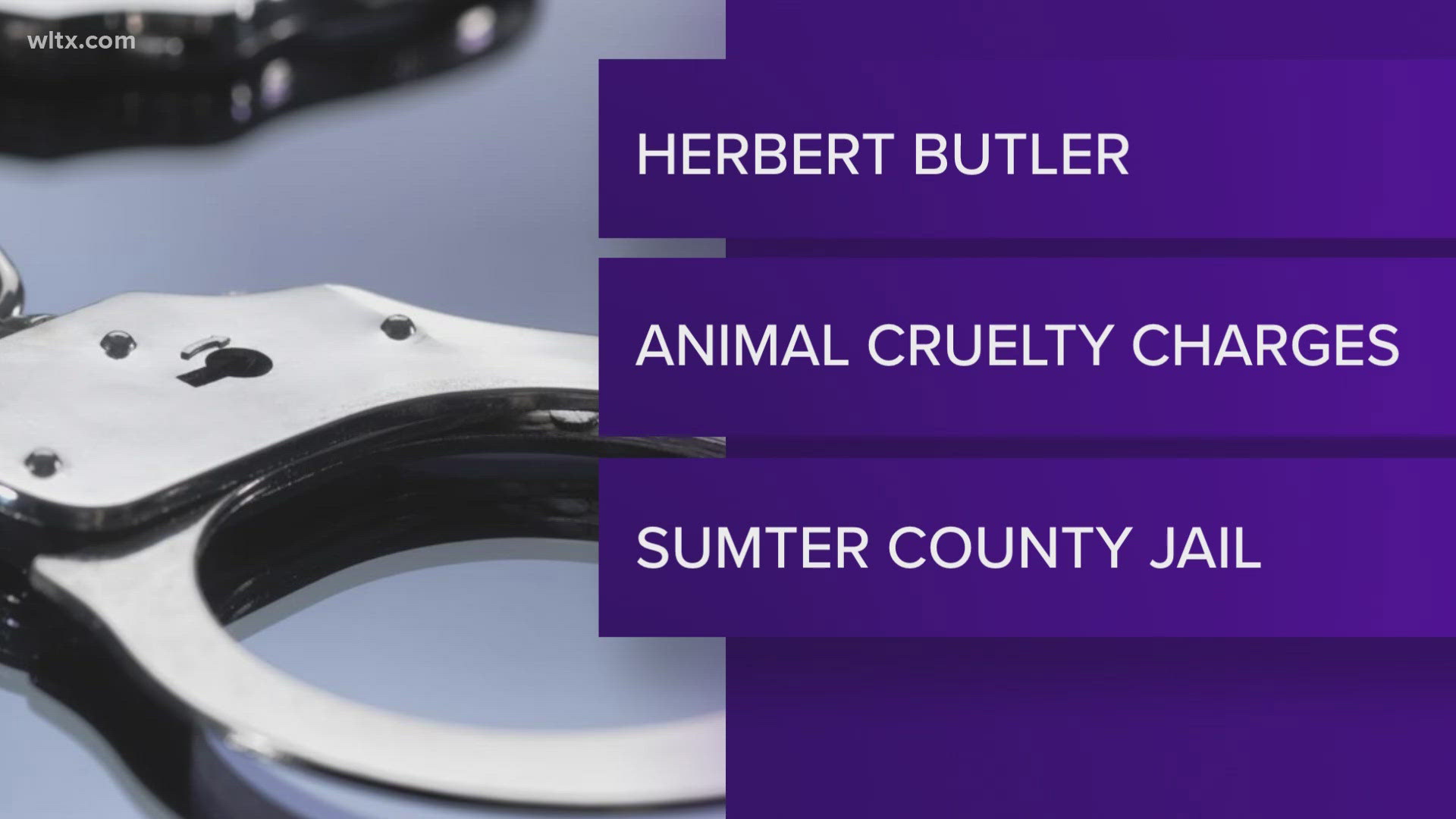 Herbert Linwood Butler facing animal cruelty charges in Sumter | wltx.com