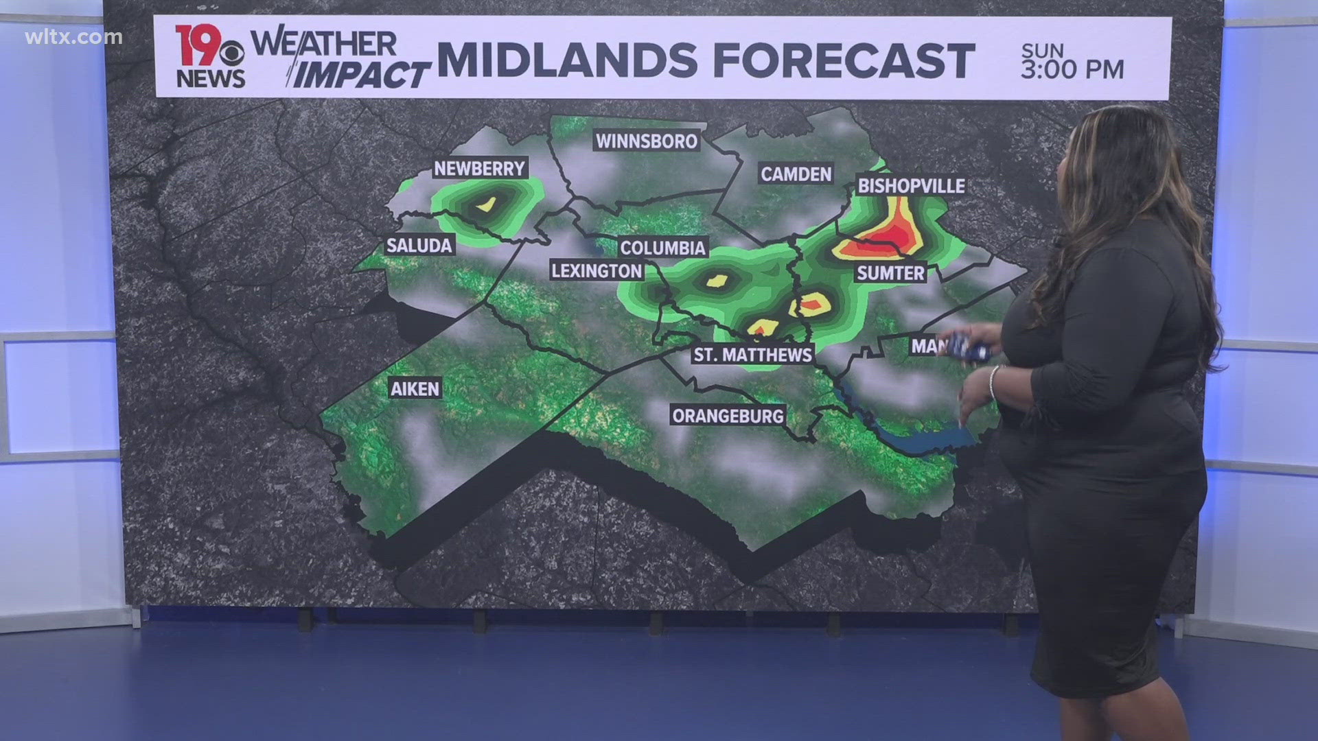 Heavy rain and thunderstorms expected across much of South Carolina ...
