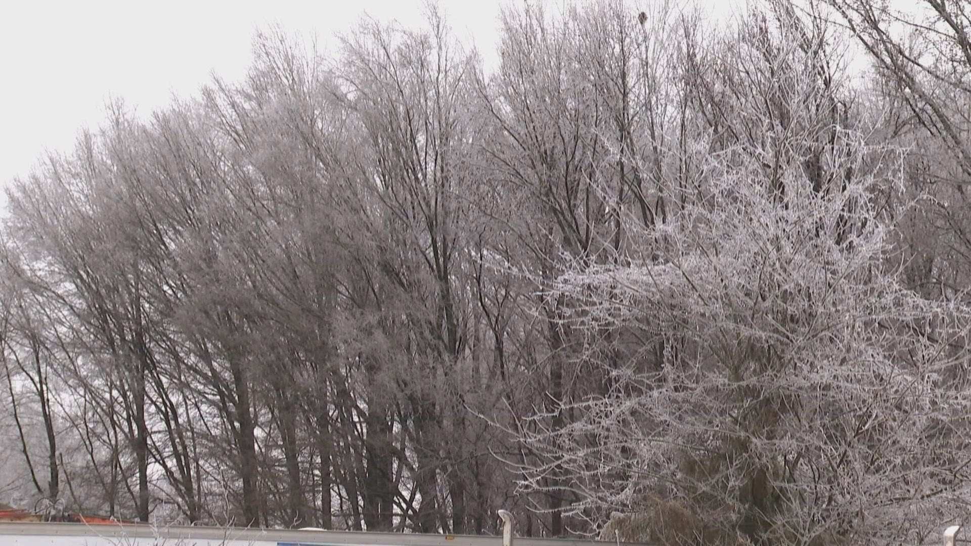 Dominion Energy explains how they prepared for storm, how they will ...