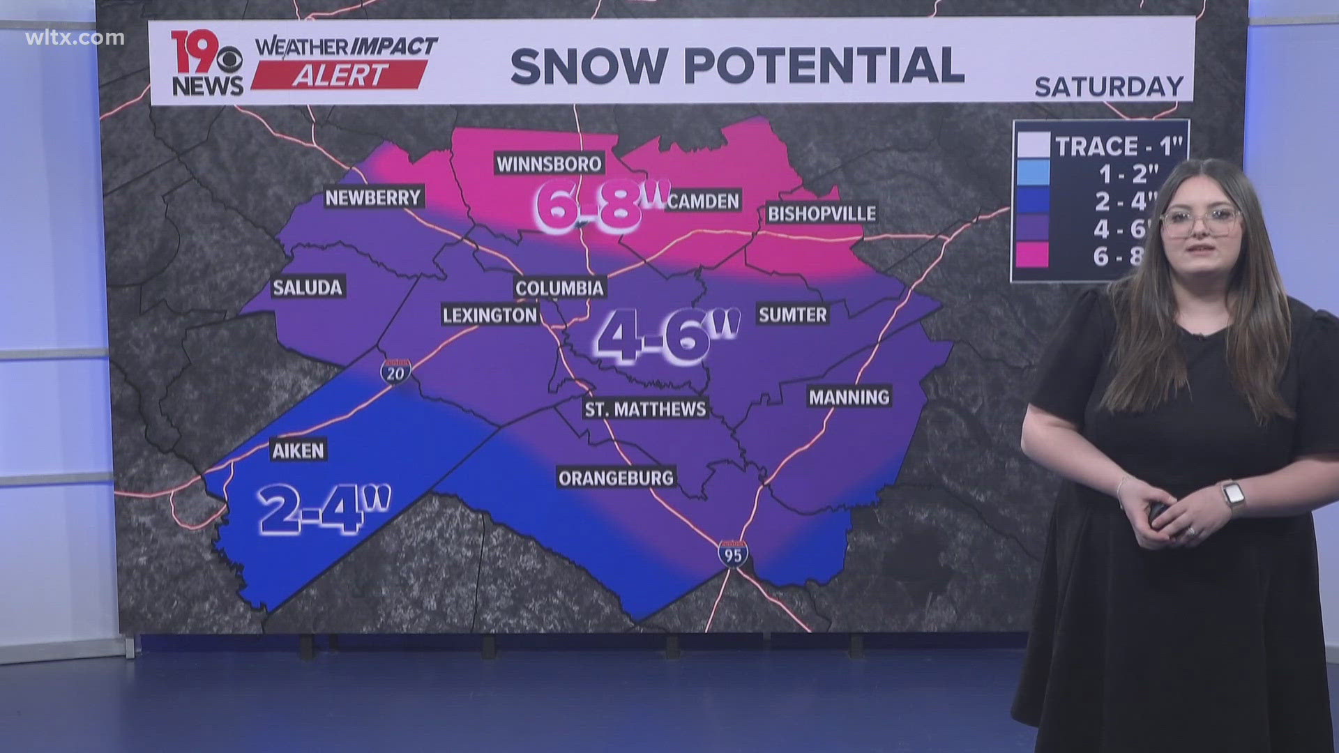How much snow will South Carolina get from the winter storm? Here's the ...