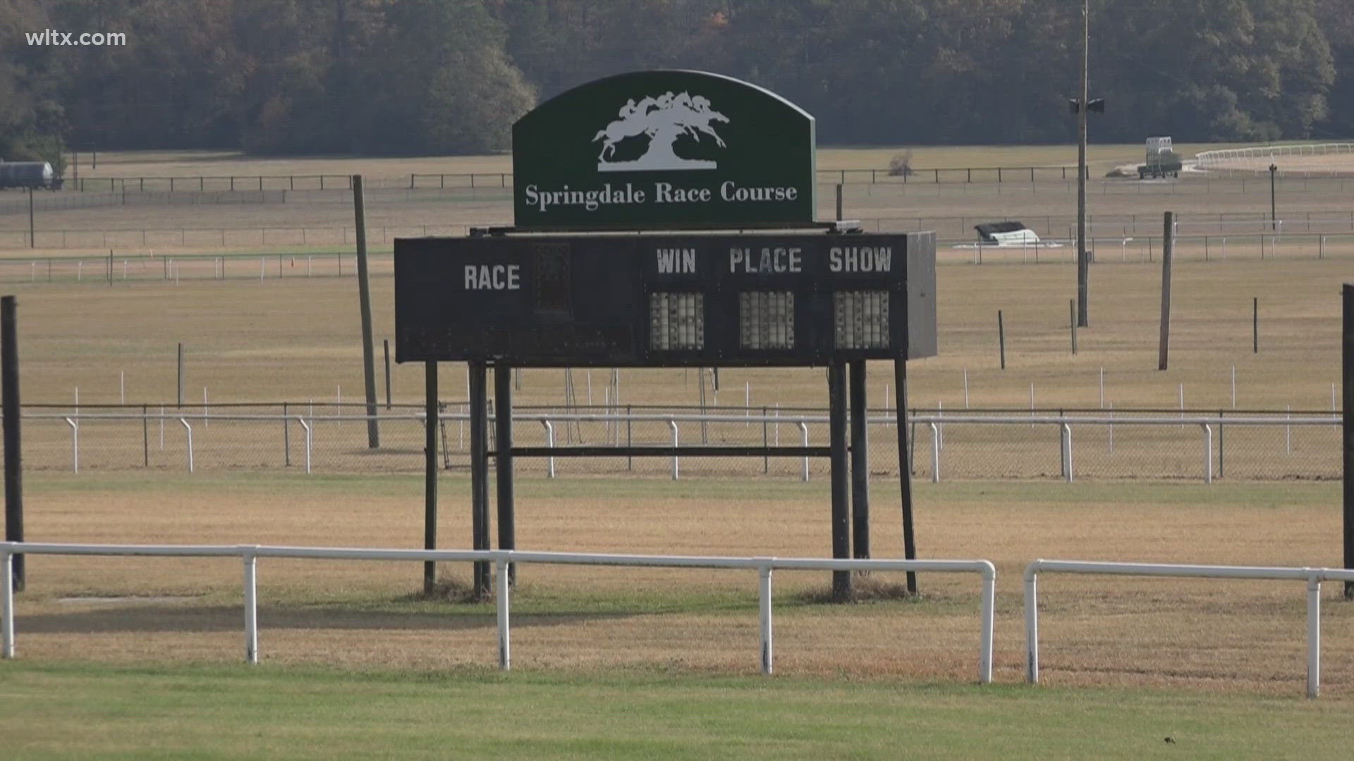 Camden gears up for the 50th Colonial Cup | wltx.com
