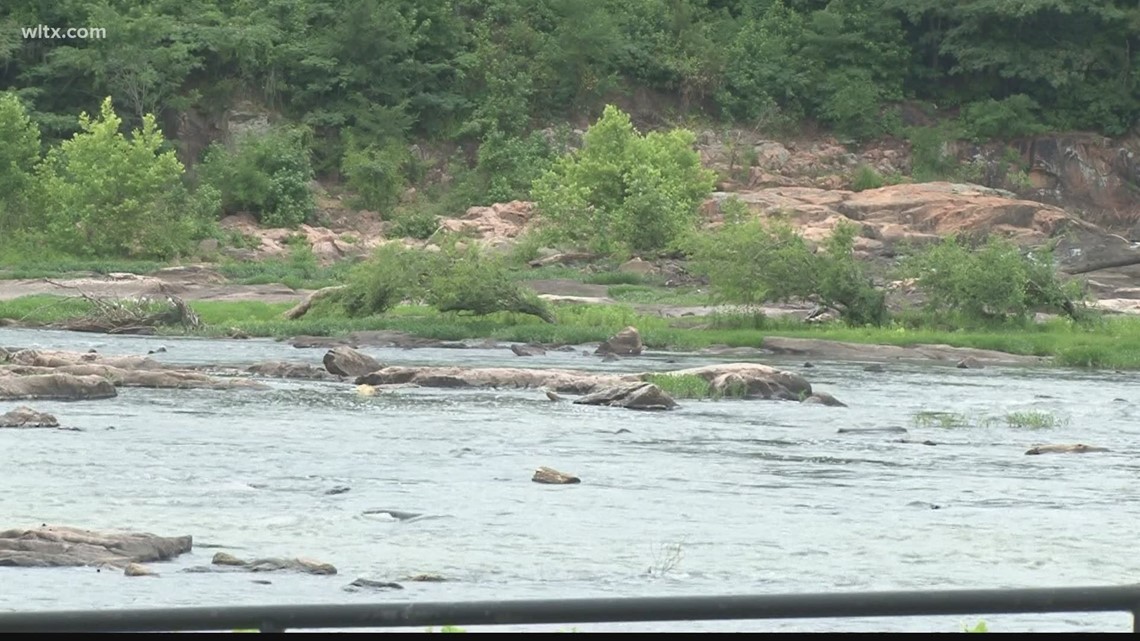 'Earth Day doesn’t have to be just one day': How you can support ...