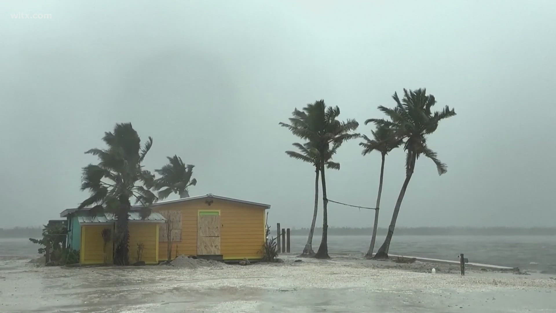 The lifecycle of a hurricane | wltx.com