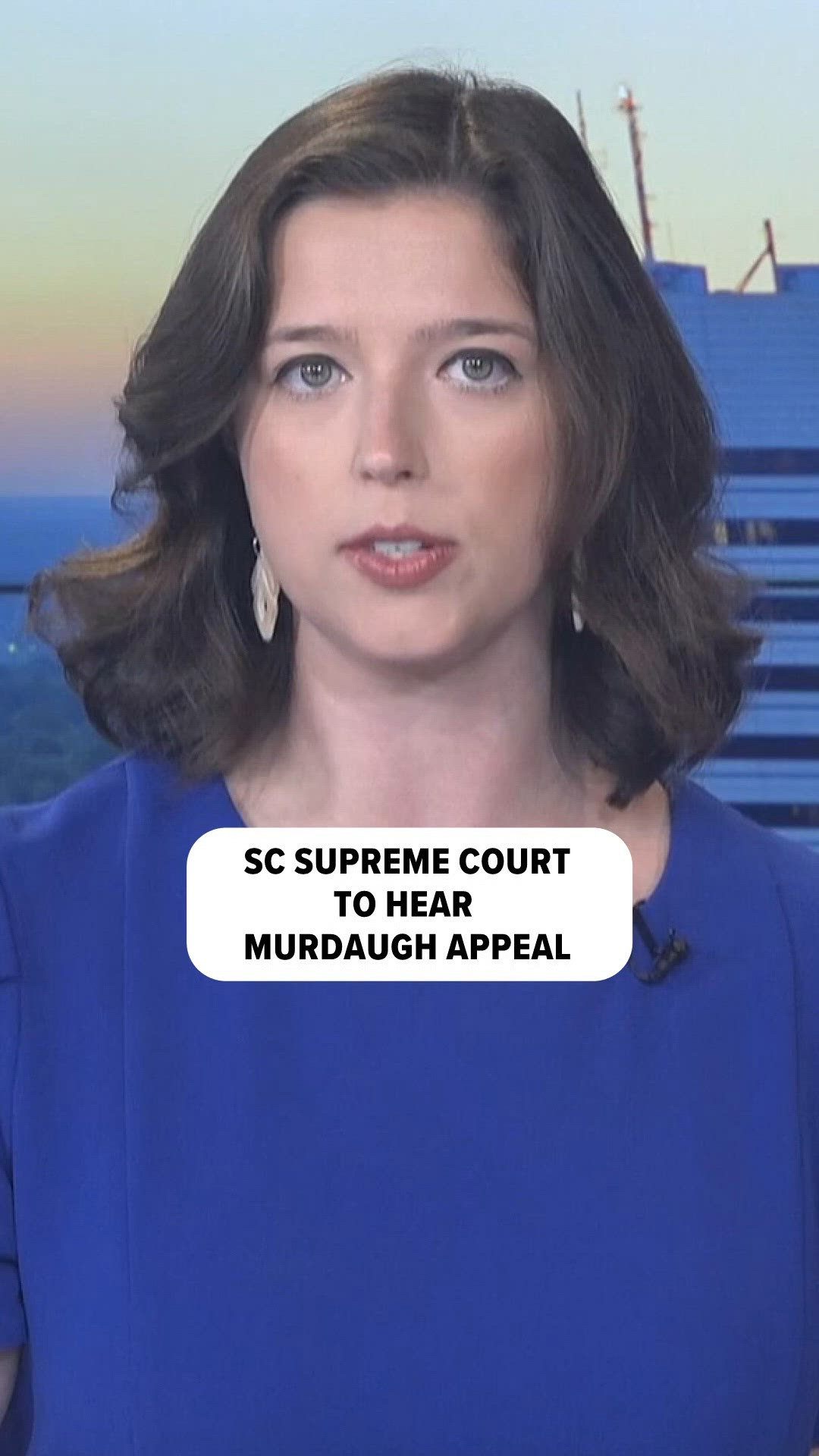 SC Supreme Court to hear Alex Murdaugh murder case appeal | wltx.com