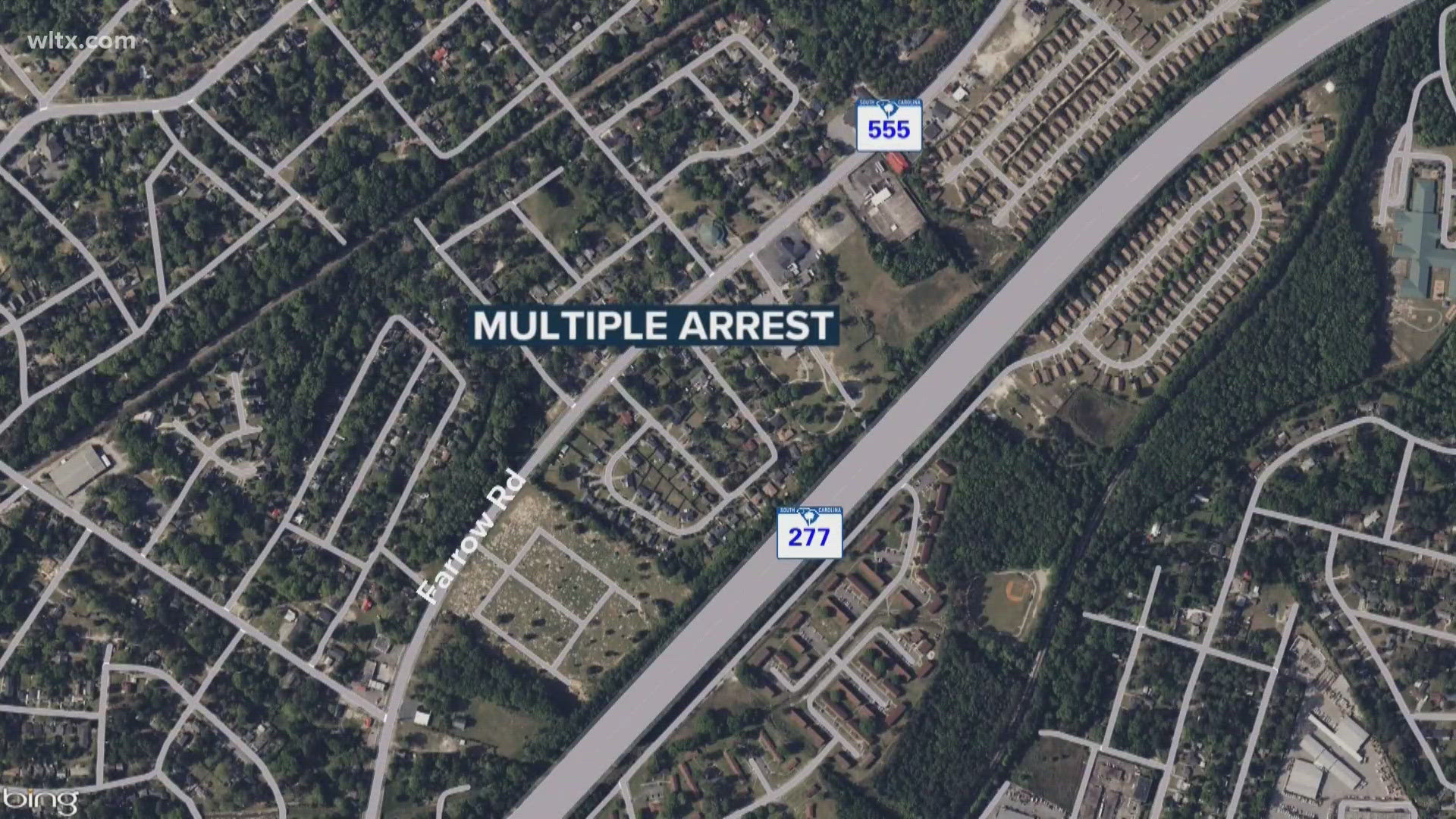 Deputies went to Farrow Road for a car theft arrest and found 17 dogs ...
