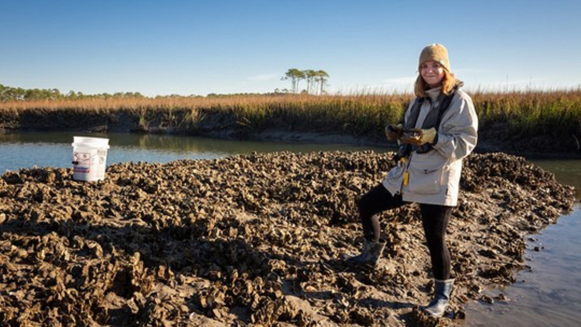 Shellfish harvesting season begins Oct. 1, 2021 in South Carolina ...