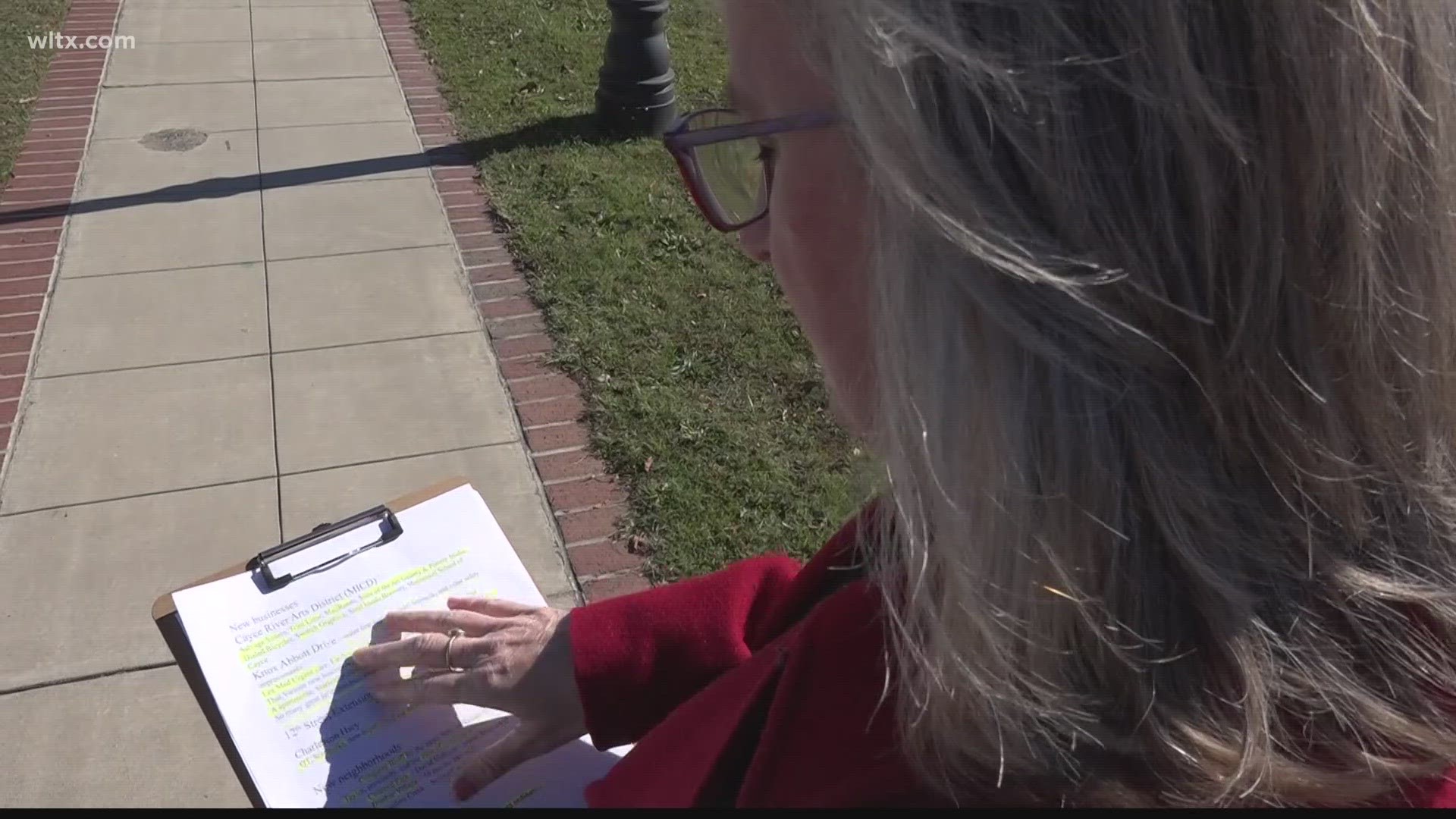 Candidates for Cayce mayor | wltx.com