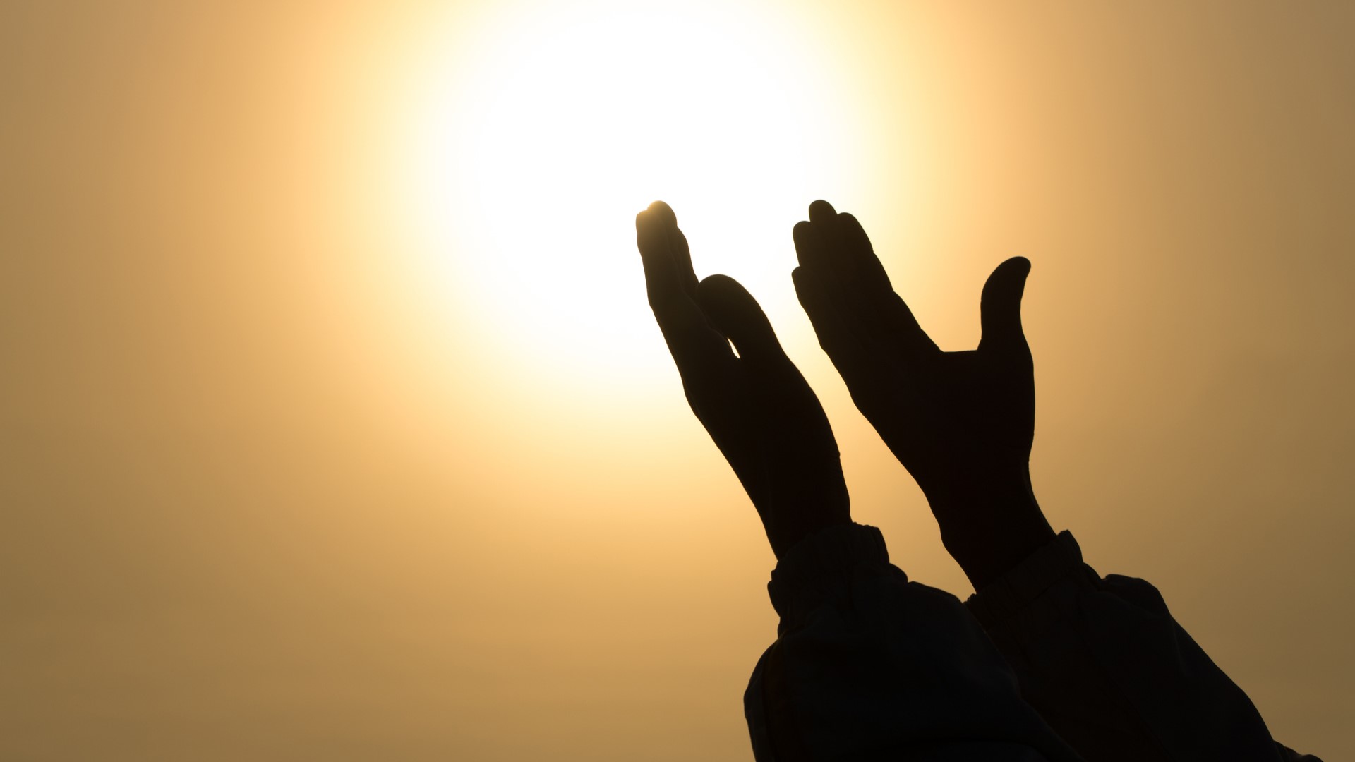 South Carolina is 9th most sinful state, WalletHub study shows | wltx.com