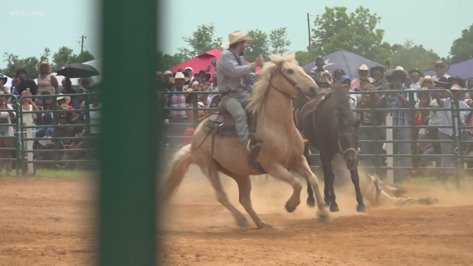 Black Cowboy Festival draws crowd to rural South Carolina | wltx.com