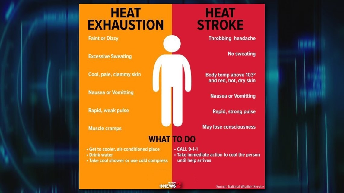 Heat Stroke Vs Heat Exhaustion Sale Here Www gbu presnenskij ru