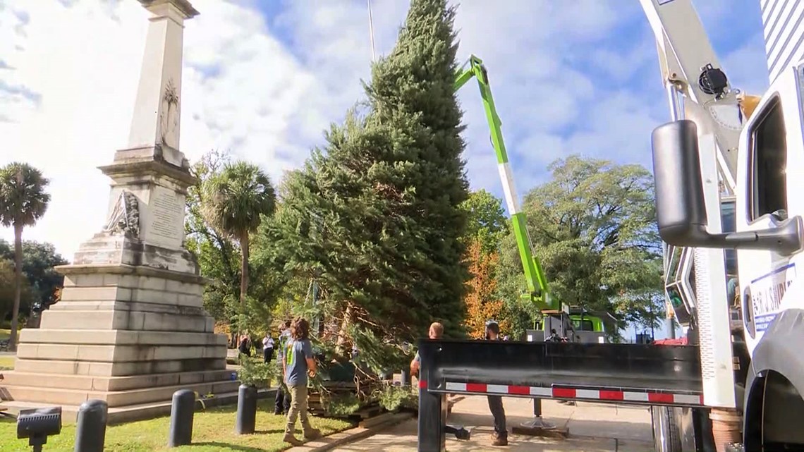 Official SC Christmas tree arrives at State House in Columbia | wltx.com