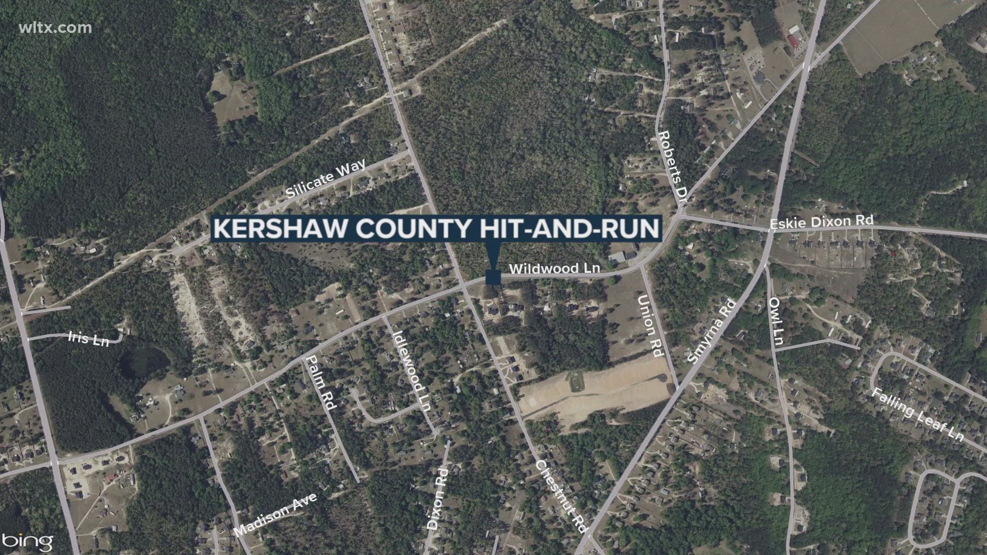 Man killed in fatal hit-and-run identified | wltx.com