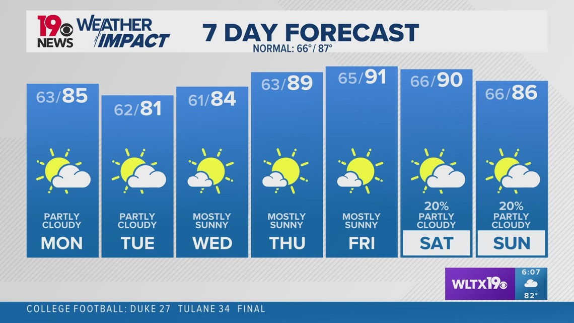 Woman arrested in Columbia hit-and-run death of 71-year-old man. | wltx.com