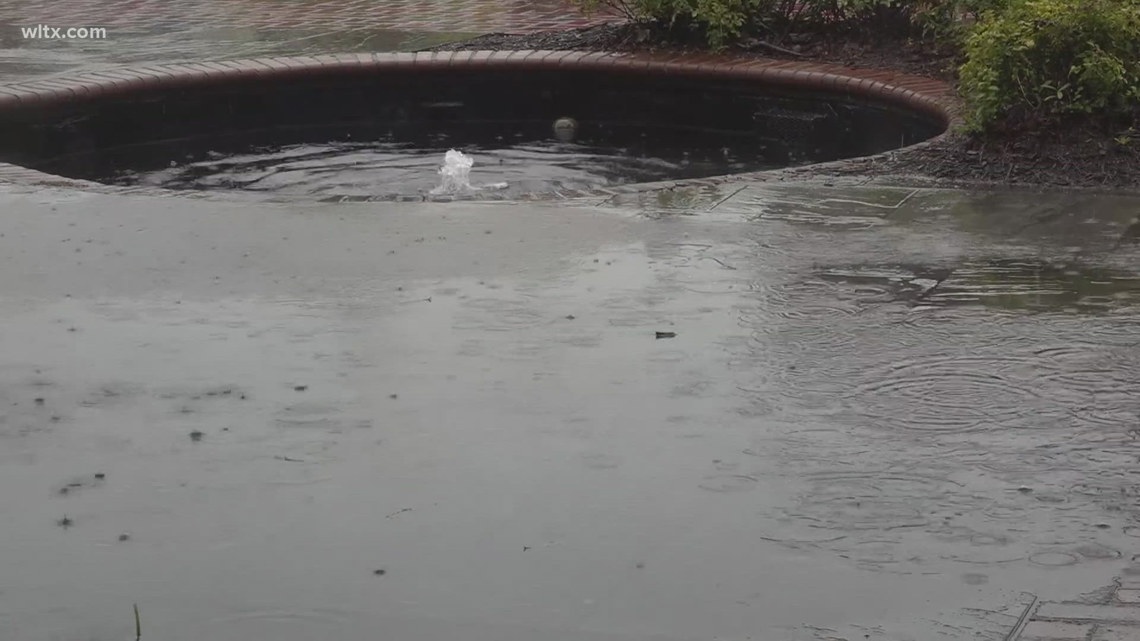 Tropical Storm Debby makes way through Sumter County | wltx.com