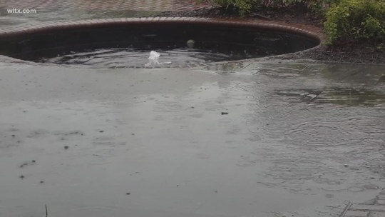 Sumter Street Squad Local News | Sumter, South Carolina | wltx.com ...