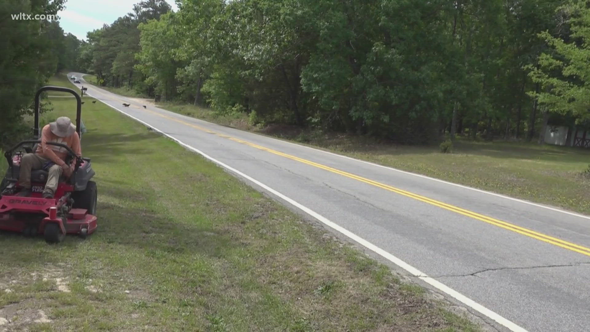 Proposed development in the Blythewood area is moving forward | wltx.com