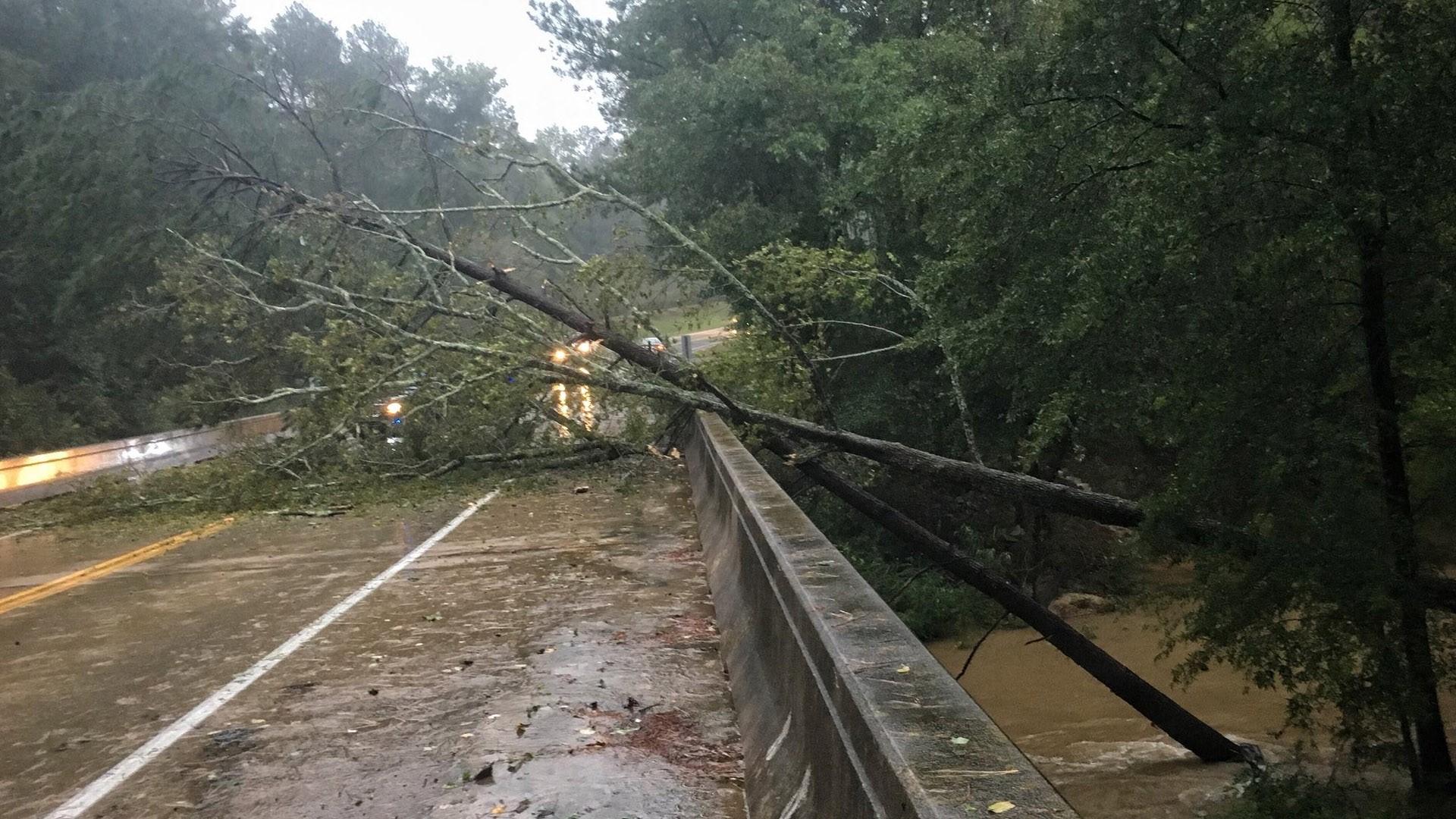 Photos: Michael leaves behind storm damage in South Carolina | wltx.com