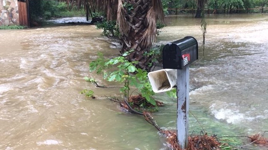 Photos: Michael leaves behind storm damage in South Carolina | wltx.com
