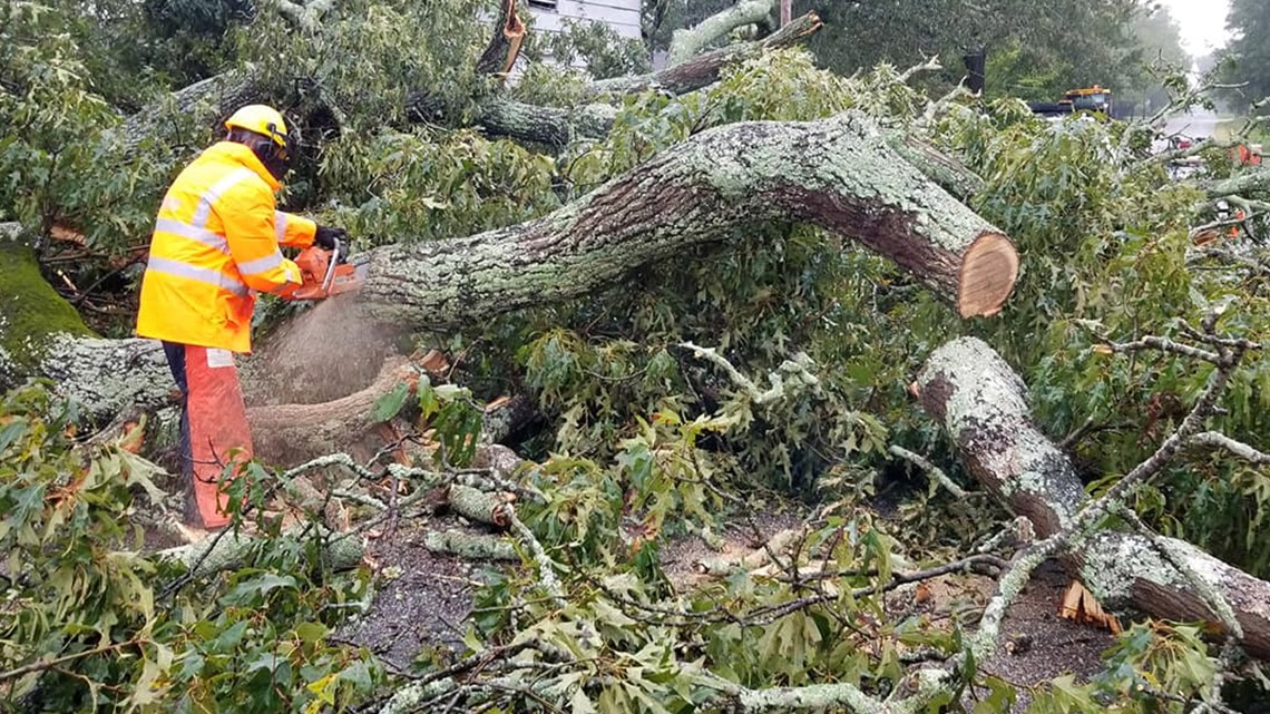 Photos: Michael leaves behind storm damage in South Carolina | wltx.com