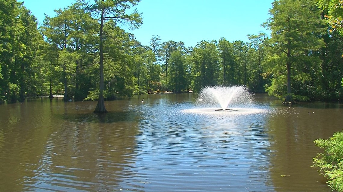 Sumter park to feature new sculpture of birds taking flight | wltx.com