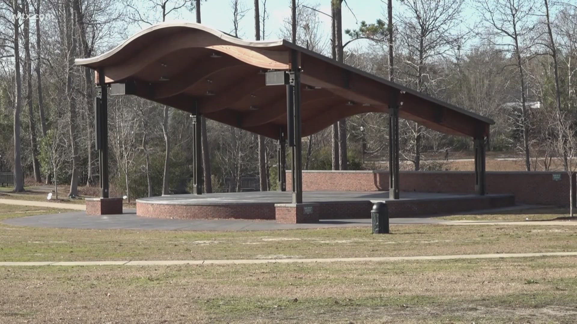 Blythewood calls on residents to join safety task force for Doko ...