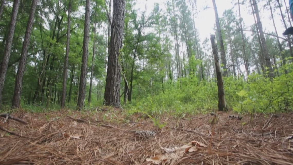 SC treasure hunters find hidden secrets in the ground | wltx.com