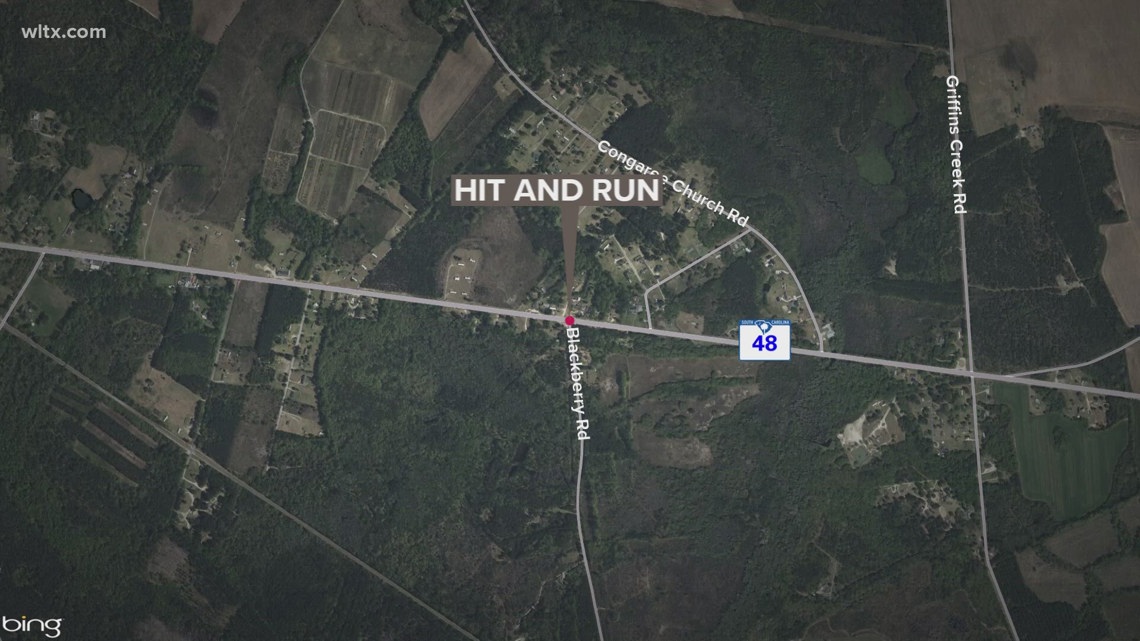 11-year-old killed in hit and run on Bluff Road identified | wltx.com