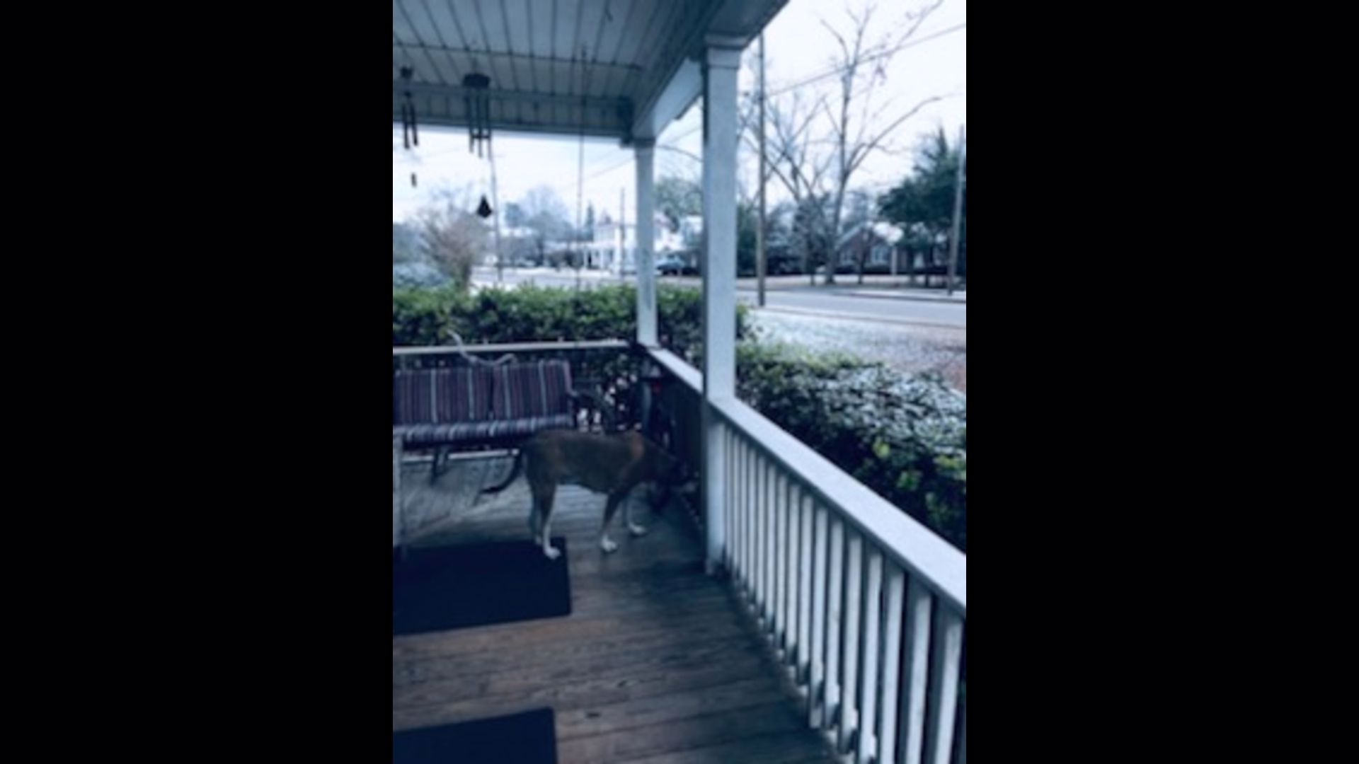 South Carolina snow pictures sent to WLTX News19 | wltx.com