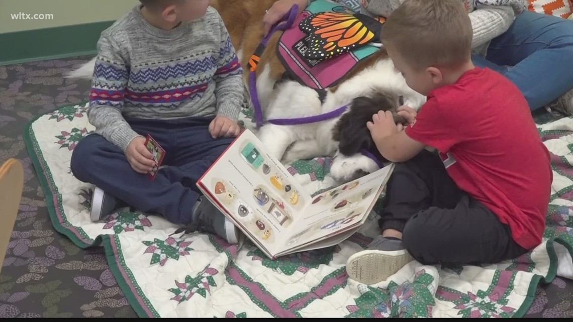 Children practice reading to therapy dogs during Richland Library's ...