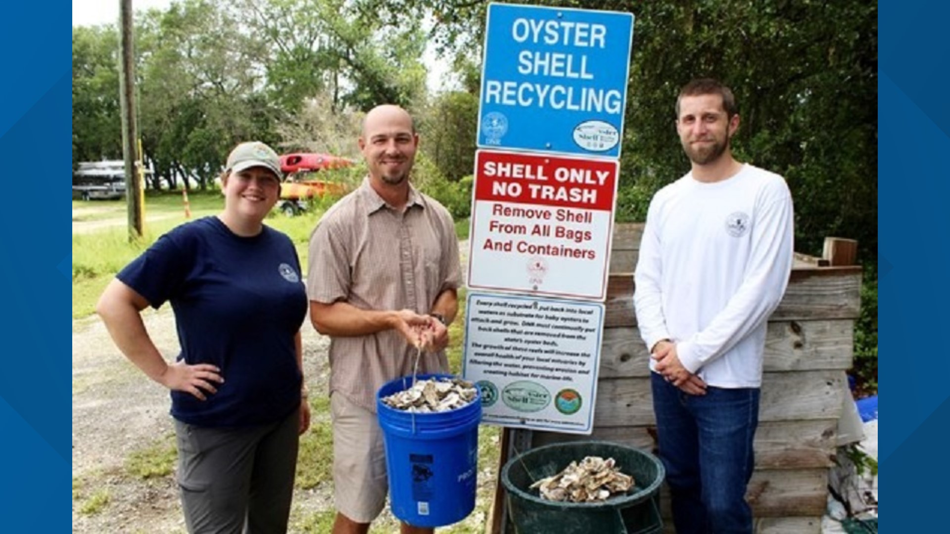 South Carolina shellfish season set to open Sept. 28 | wltx.com