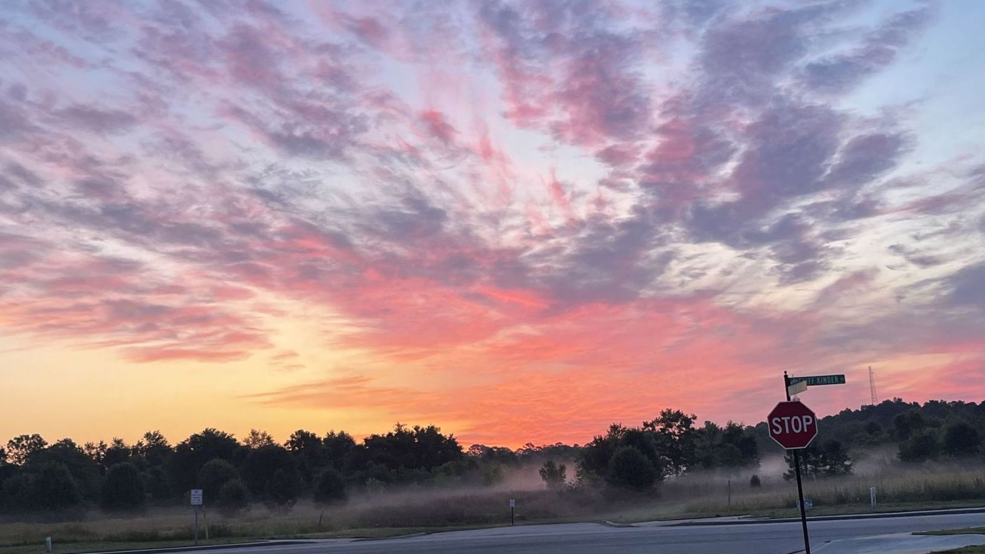 Near Me | Photos and Videos | wltx.com