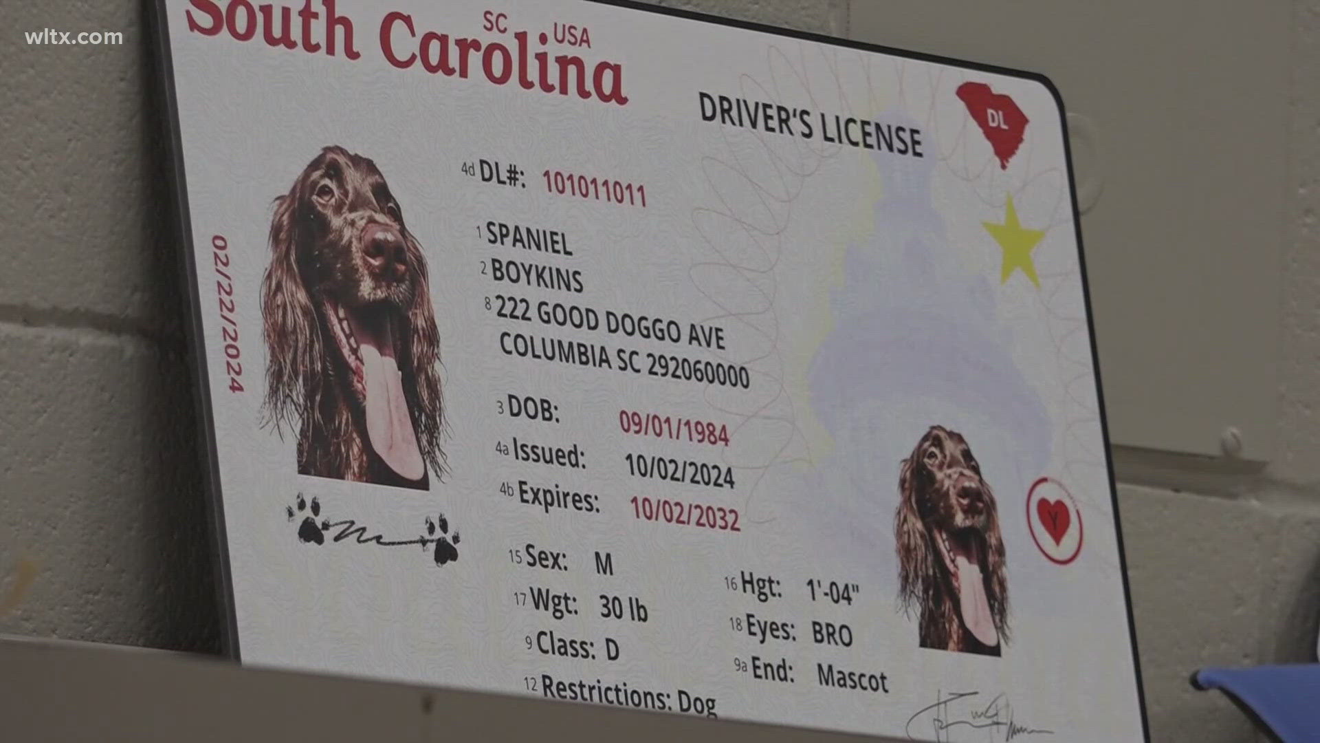 South Carolina REAL ID deadline is May 7 for flights and federal access ...