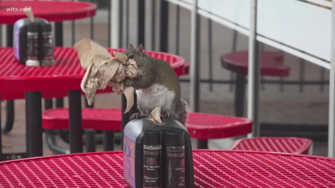 SC Restaurant Week wraps up with major economic impact in Columbia ...