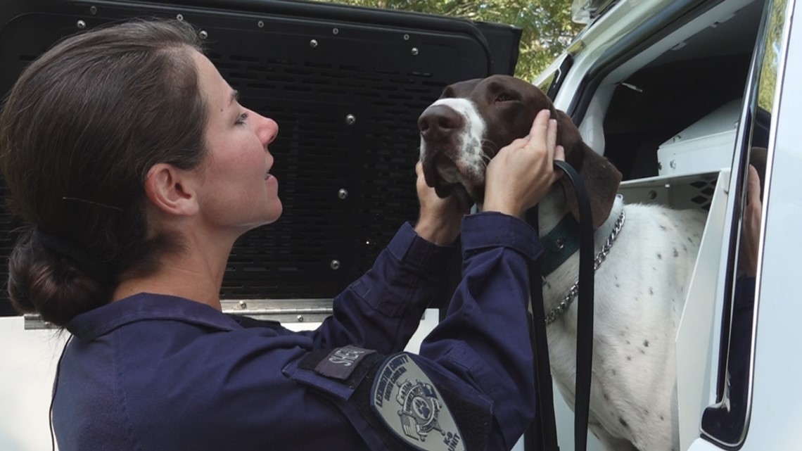 Lexington County Sheriff's Department First Female K-9 Handler | wltx.com