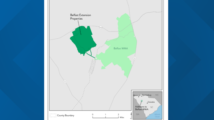 Over 2,200 acres of land to be preserved in South Carolina | wltx.com