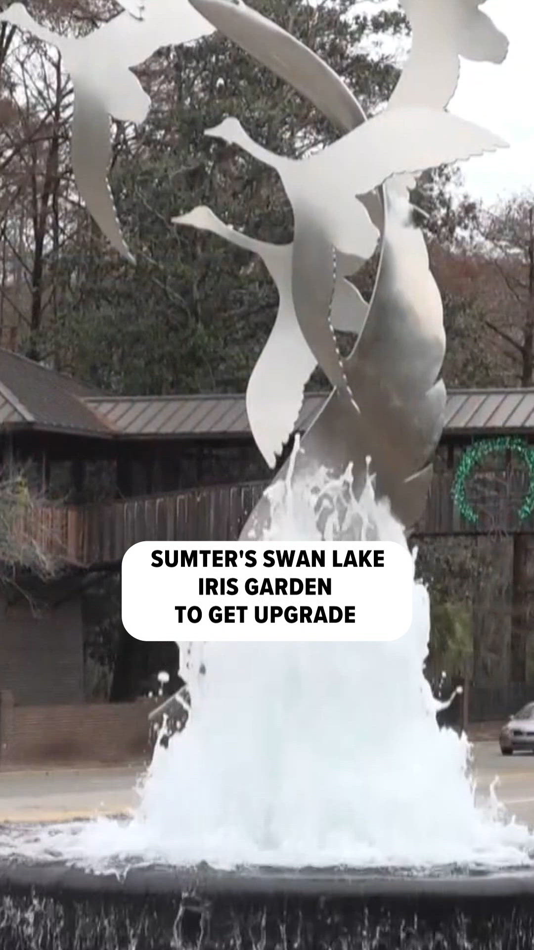 Iris Garden in Sumter to get major upgrade | wltx.com