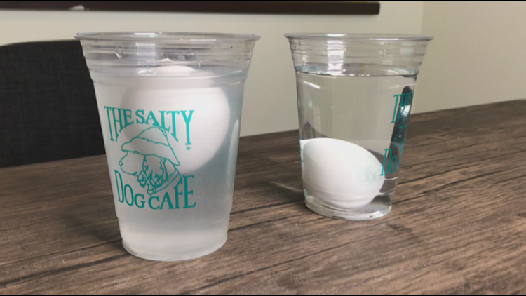 Learn to make an egg float with this science experiment | wltx.com