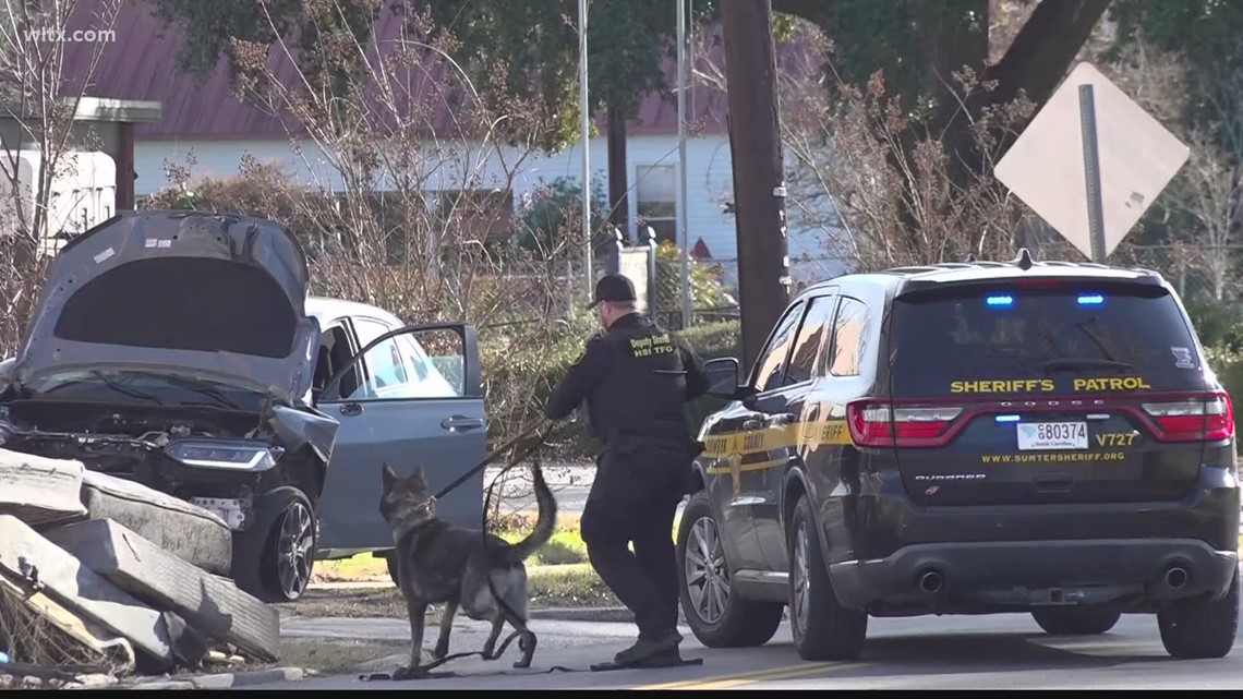 Arrests made in Sumter car chase | wltx.com