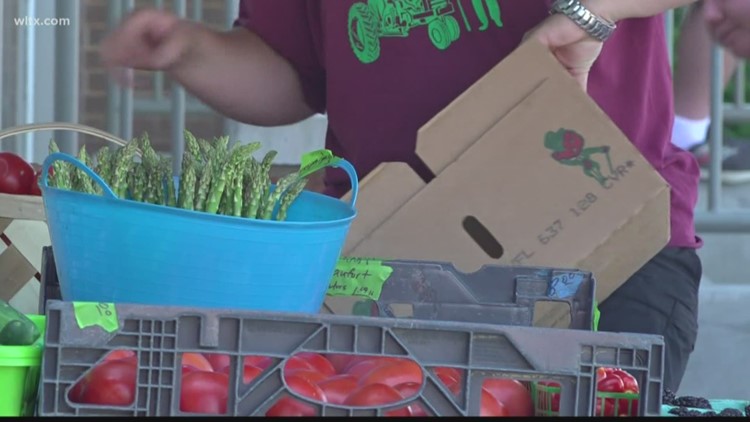 Things to do in the Columbia area July 9-13, 2025 | wltx.com